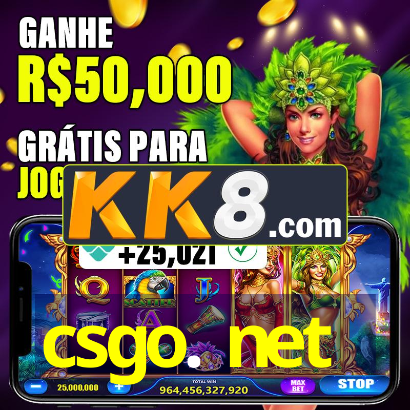 Csgo Net